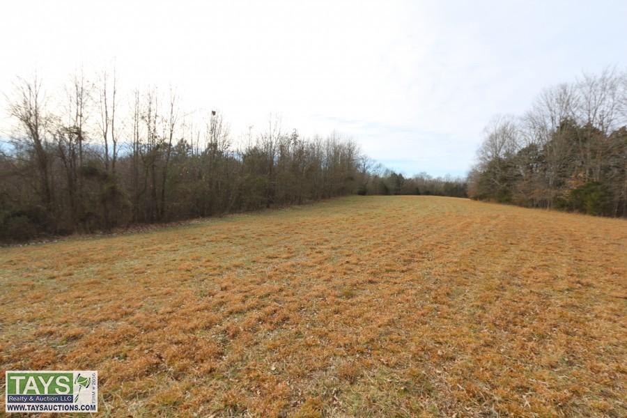 Tays Realty & Auction - ABSOLUTE ONLINE AUCTION: 65 AC± IN 2 TRACTS